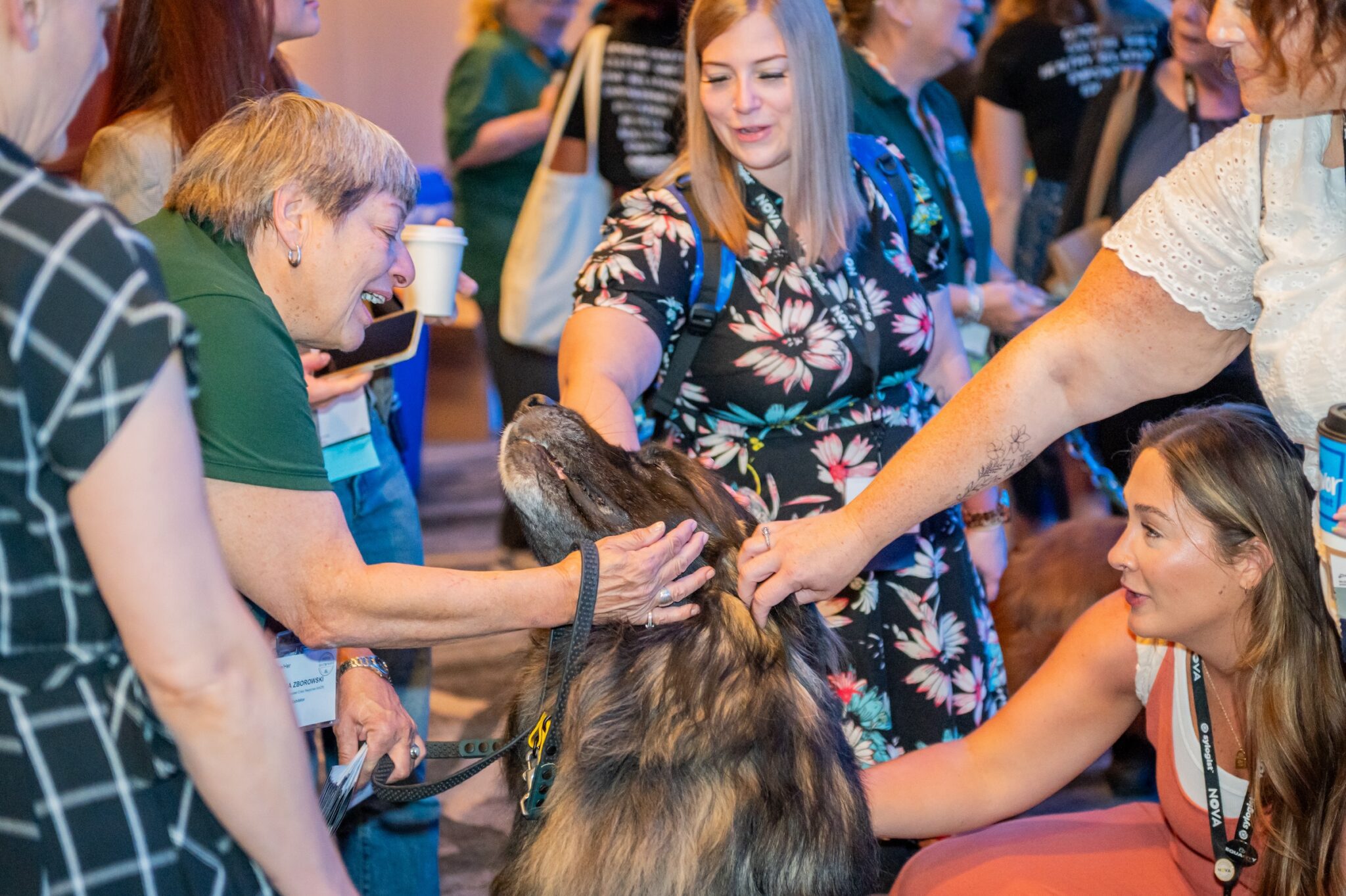 NOVA’s Annual Training Event | NOVA