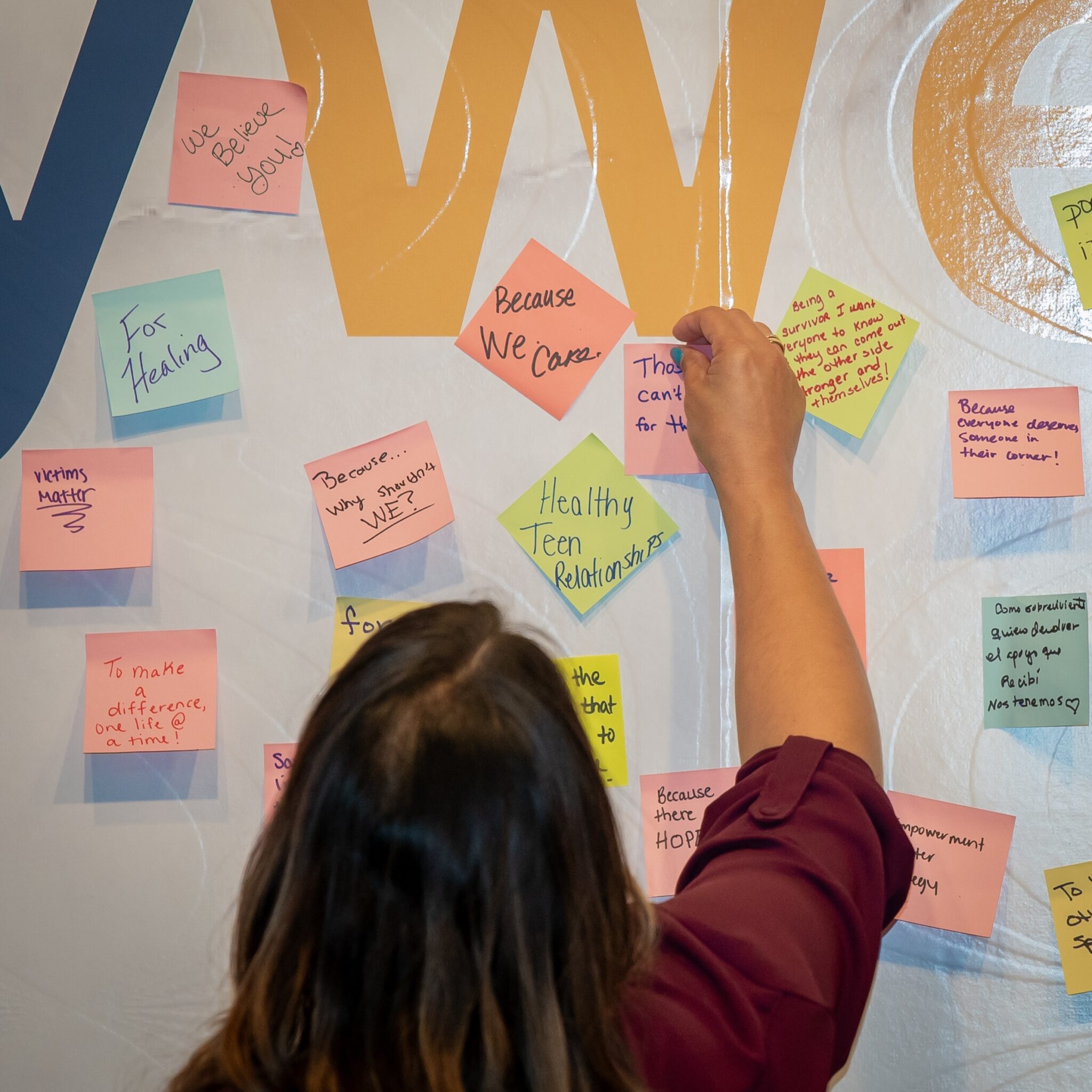 Training Programs | NOVA